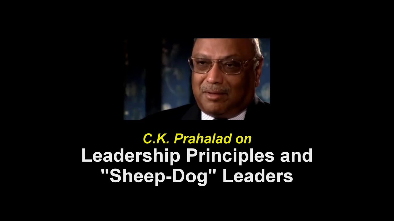 Leadership Principles and "Sheep-Dog" Leaders - YouTube