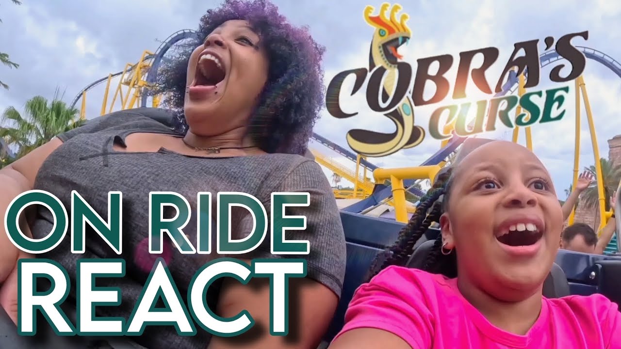 COBRA'S CURSE • BUSCH GARDENS TAMPA • ON RIDE REACTION - YouTube