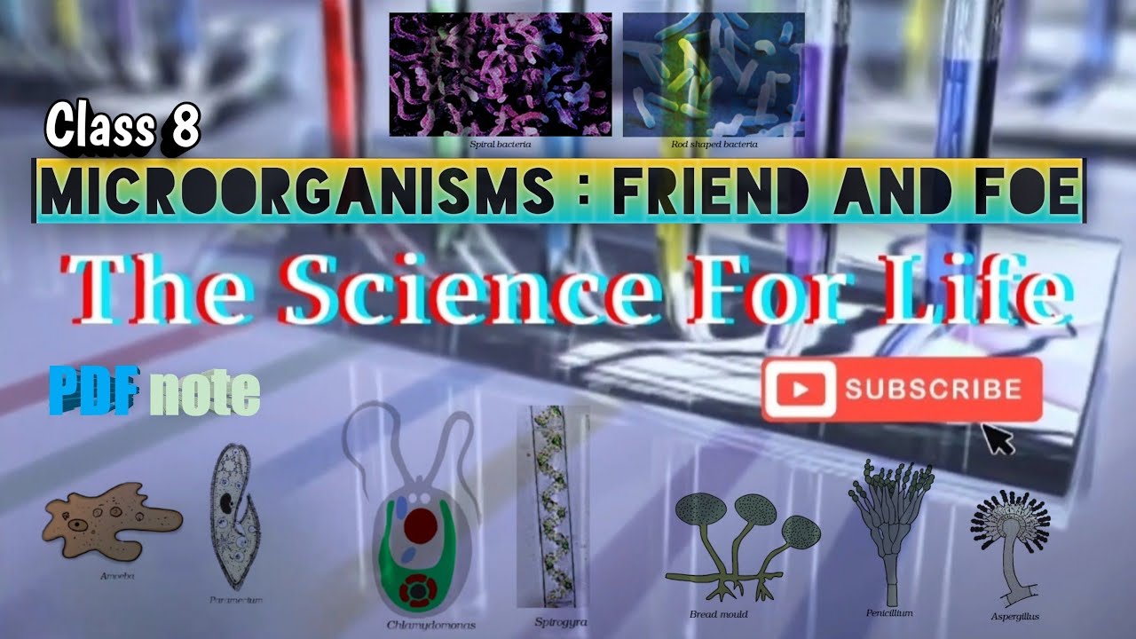 Class 8 Science - Chapter 2 | Microorganisms : Friend And Foe | easy ...