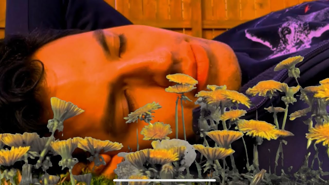 Delicate am I - YouTube