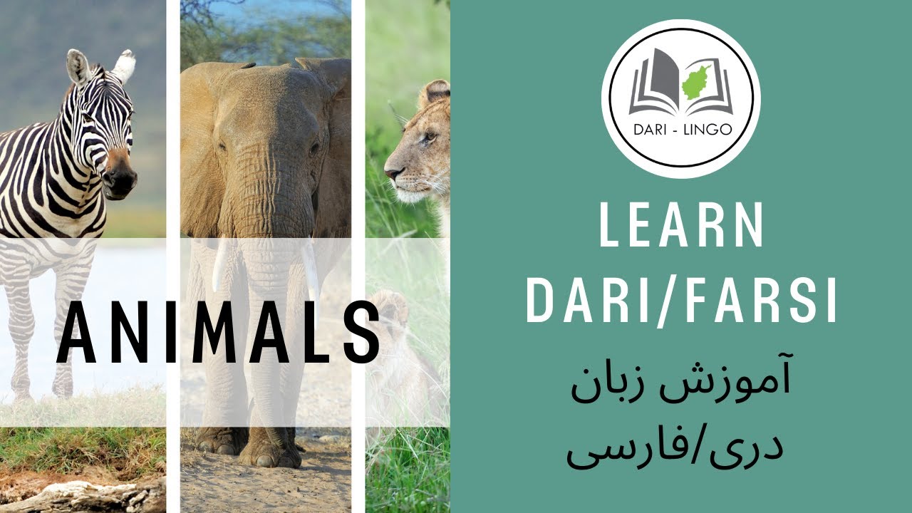 Learn Dari/Farsi: Animals - YouTube