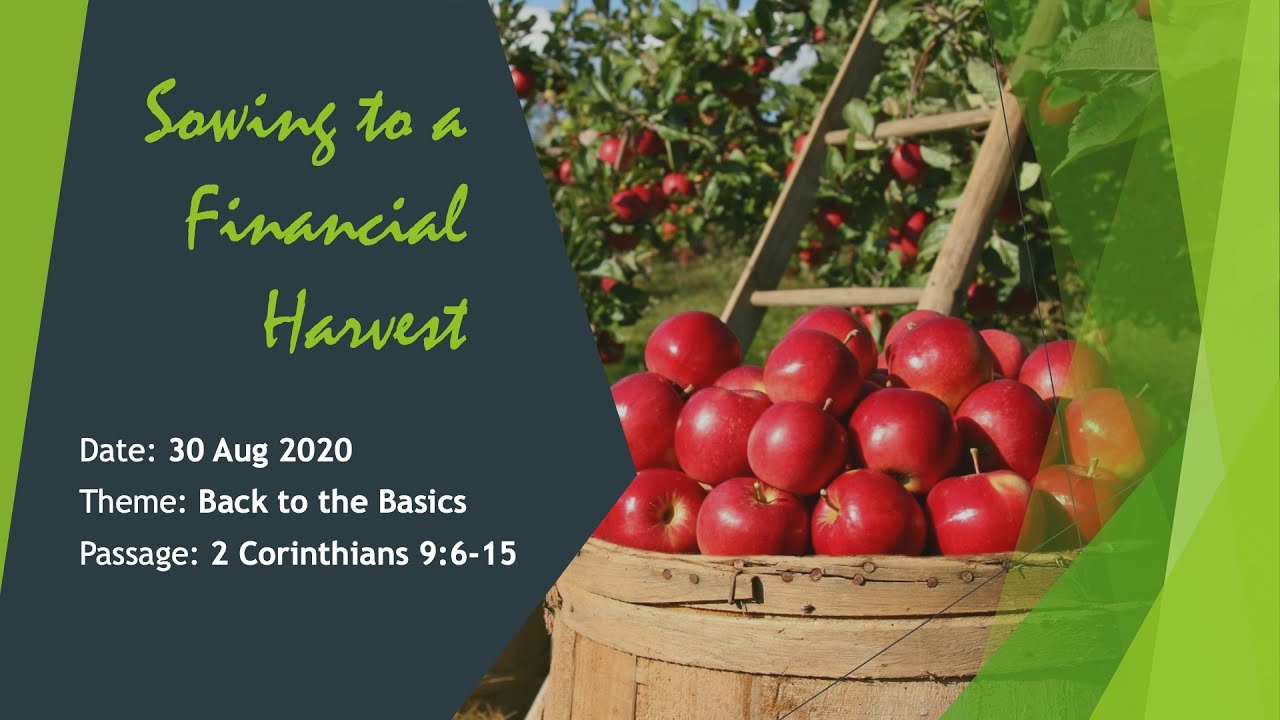 30/8/2020 Sowing to a financial harvest - YouTube