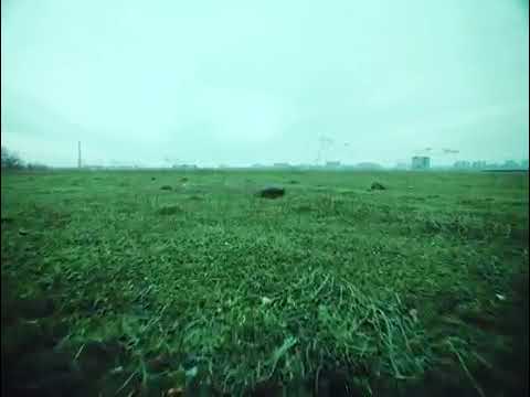 ( Грибы)  herkesin dilindeki o rusça şarkı ( Грибы)