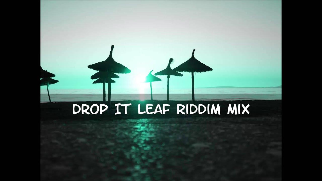 Drop leaf Riddim Mix 2013+tracks in the description - YouTube Music