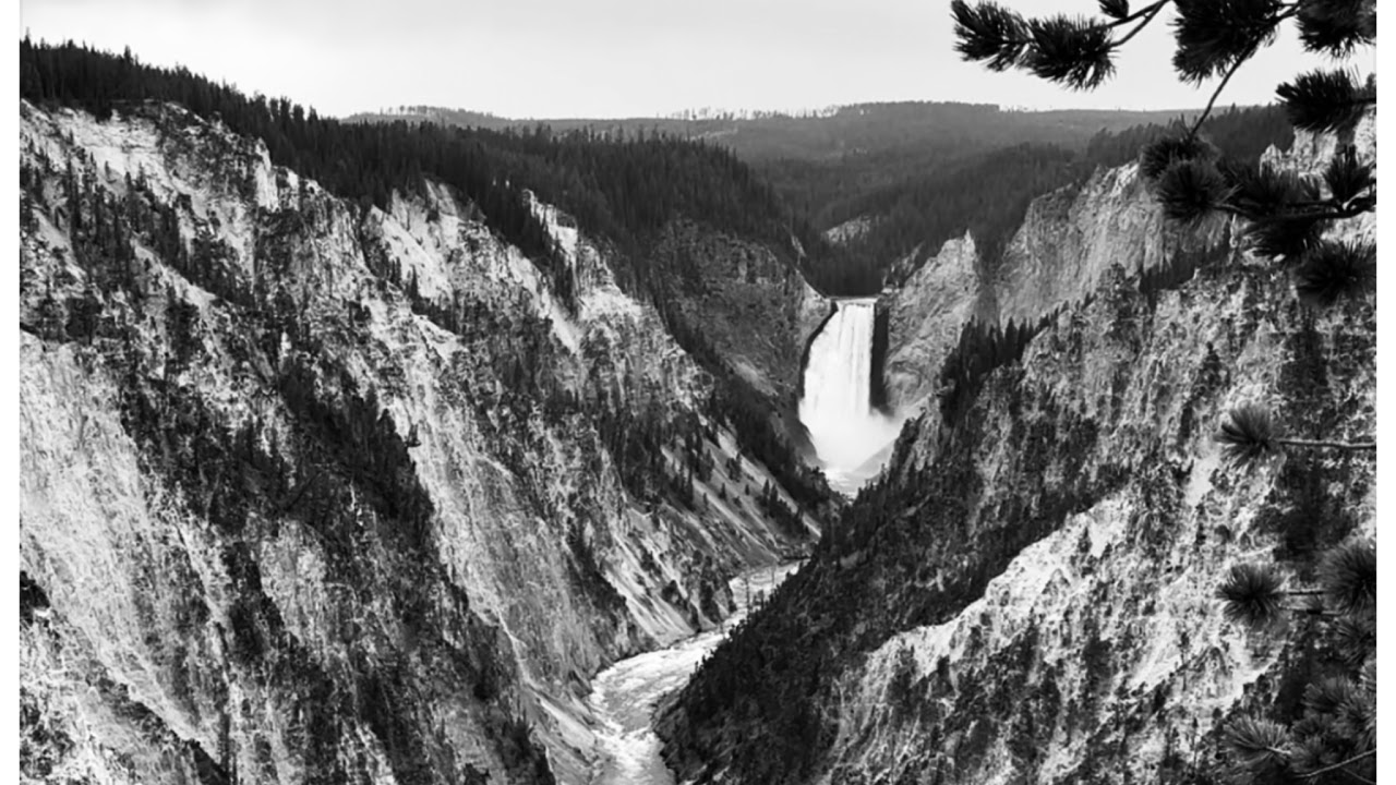 Deer Feeder Stream 2/06/2025 - YouTube