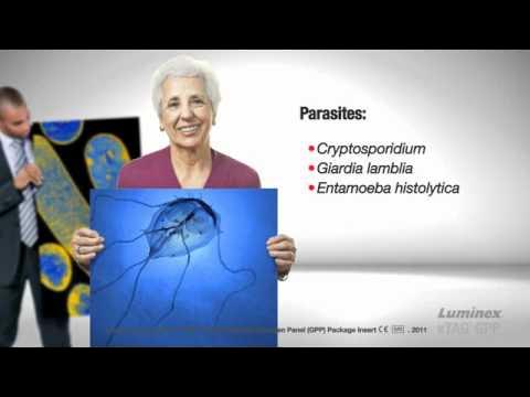 Luminex xTAG Gastrointestinal Pathogen Panel - YouTube