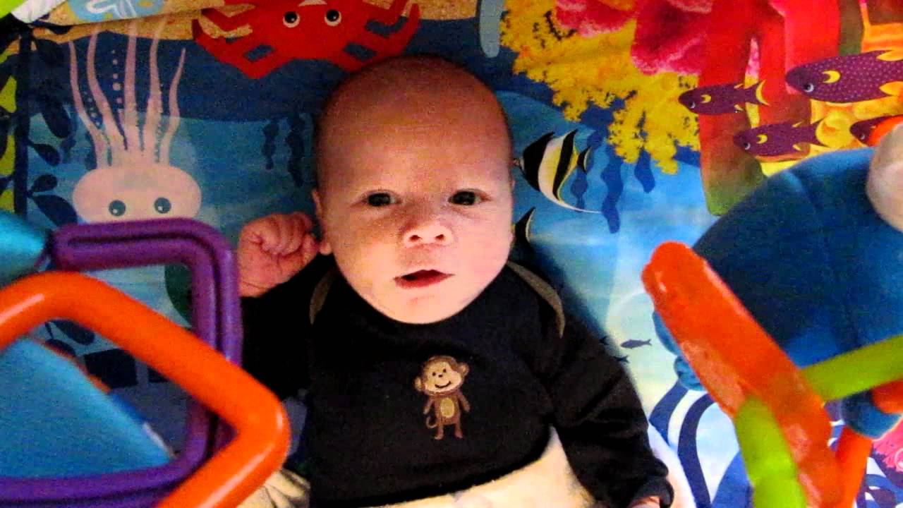 MVI_2221.MOV - YouTube