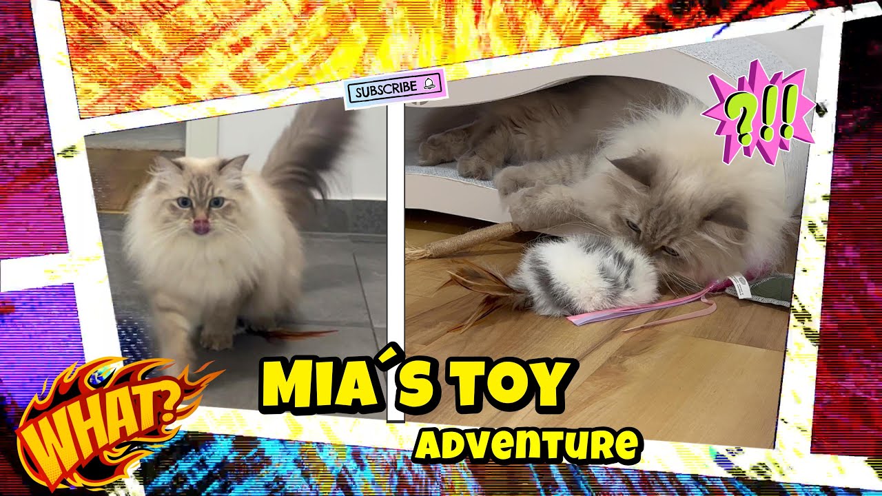 MiA´s PAWSOME Fluffy Toy Test - CatMia - YouTube