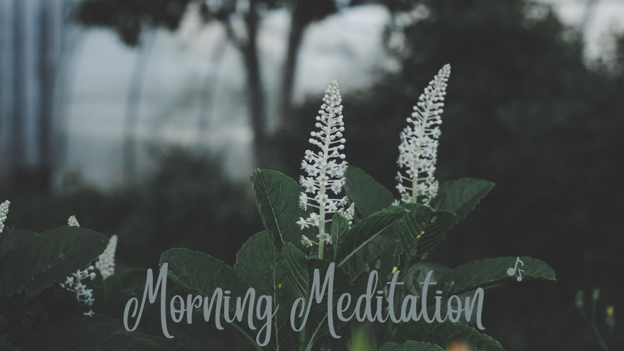 Daily Morning Meditation | Meditation Music | 22 November 2023 - YouTube