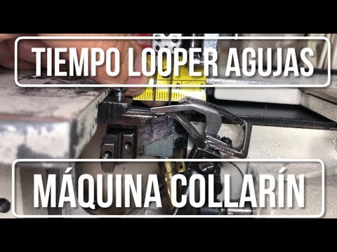 Cómo sincronizar Looper | Collarín Pegasus W562 | Profe Suescún | 4K ...