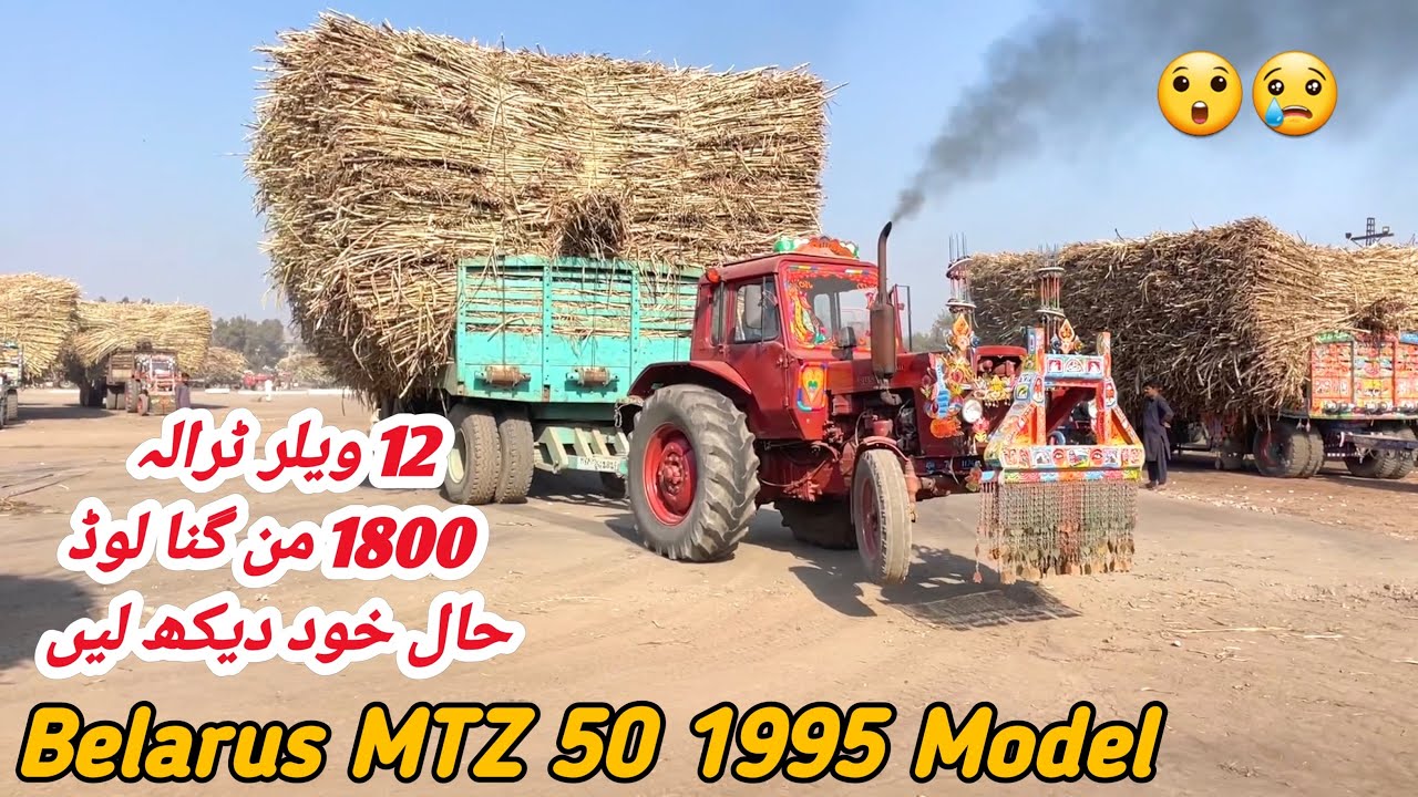 Belarus MTZ | 70 Tonnes Extremely Overload Trailer Carry In Sugarcane ...