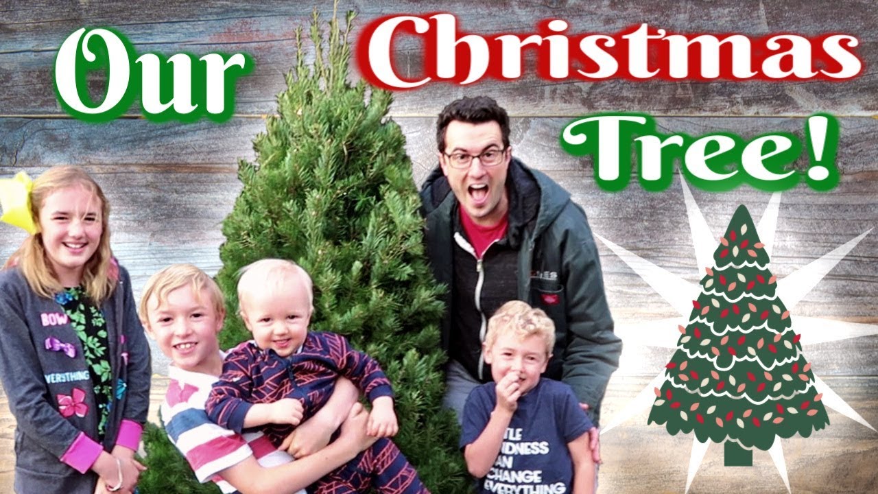 Our Christmas Tree! - YouTube
