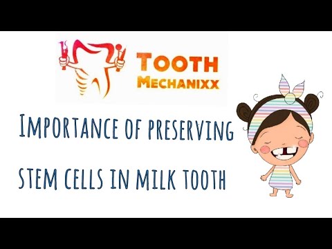 Milk teeth can save a child's life?Stem cells from milk teeth to treat ...