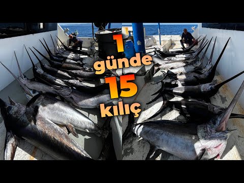 1 GÜNDE 15 KILIÇ YAKALADIK, SEZON REKORU! | 206.250 TL KAZANDIK!