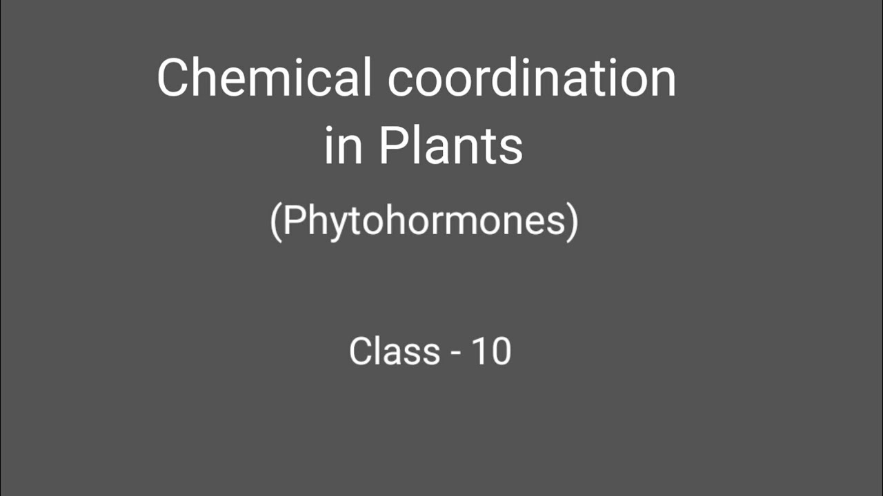 Chemical coordination in plants (plant hormones) - YouTube