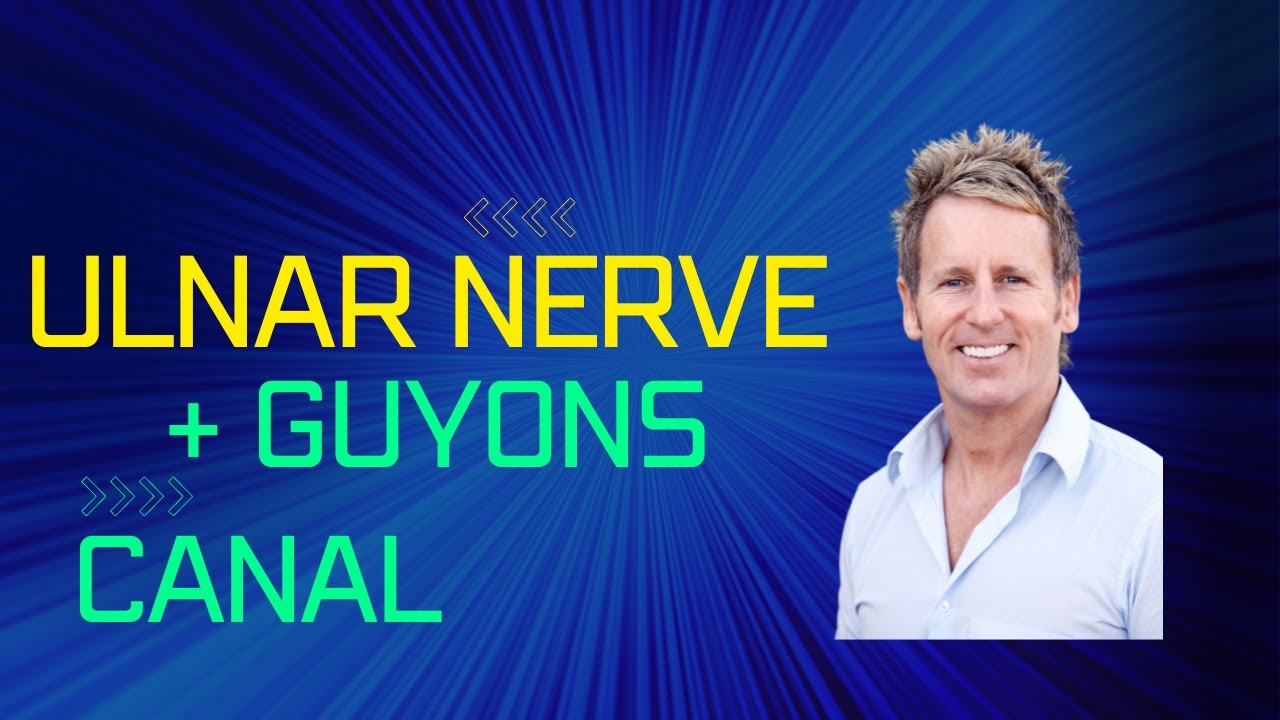 Anatomy of the Ulnar Nerve & Guyon's Canal - YouTube