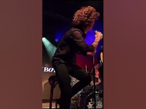 Тюлени - YouTube