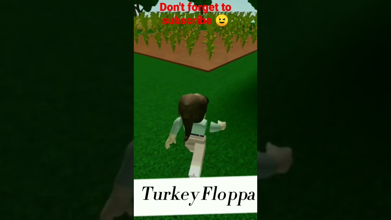How to find Turkey Floppa Morph in Find the Floppa Morphs - YouTube