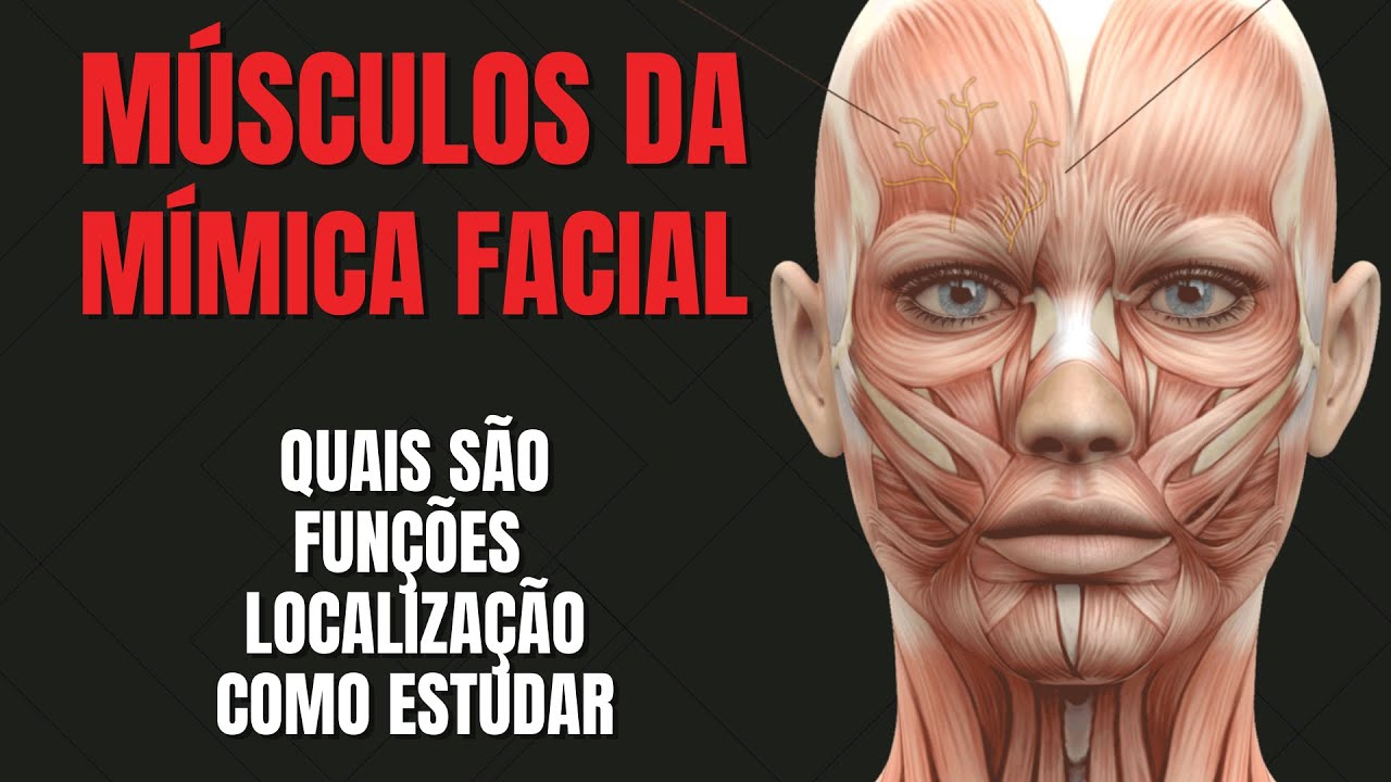 Músculos que Controlam as Expressões Faciais (Mímica facial ou músculos ...
