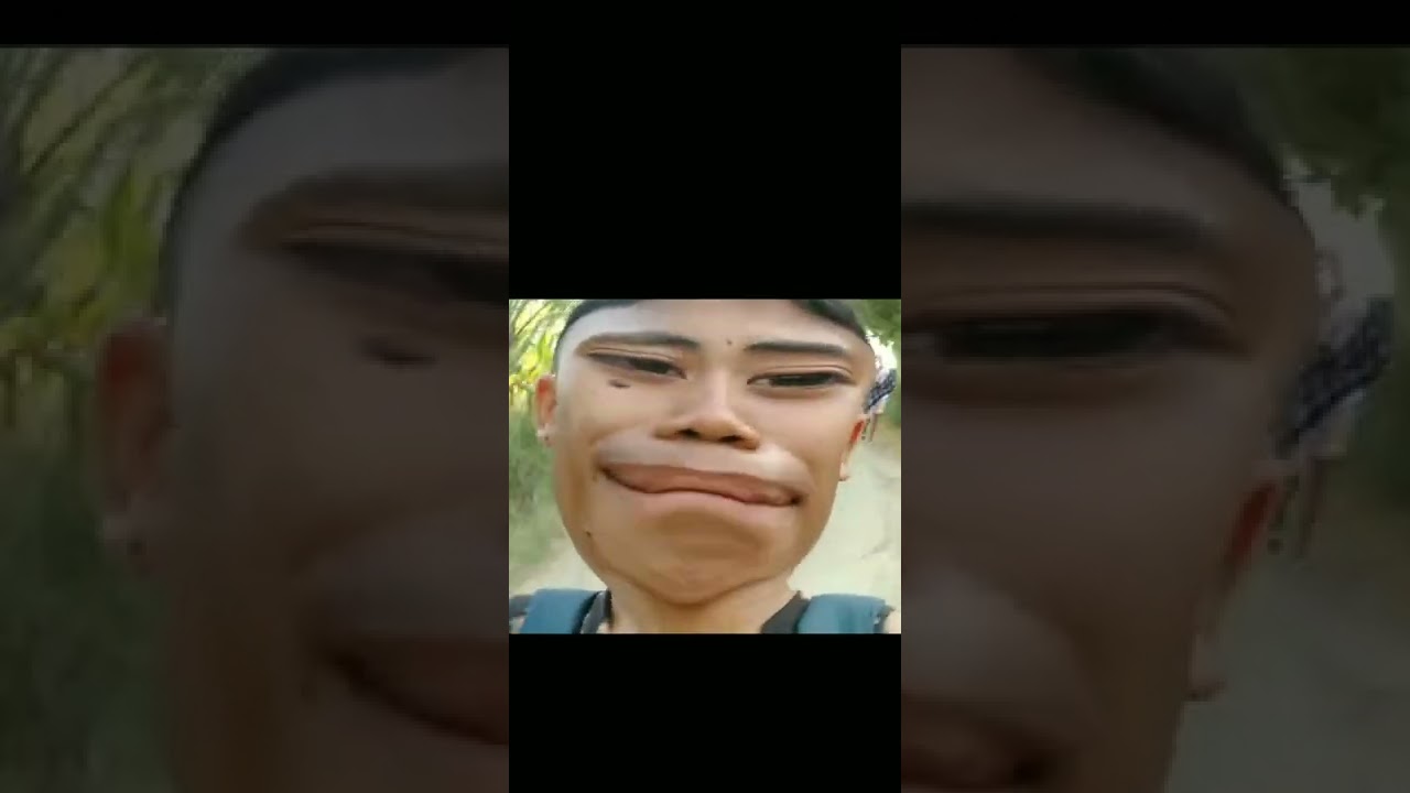 story of loyloy |Trauma vines - YouTube