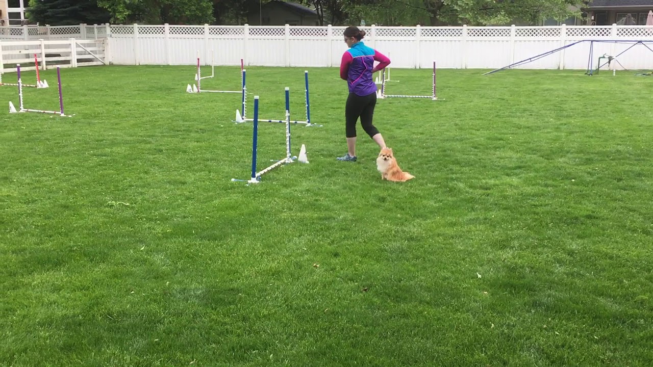 Chloe Wright Jumpers Challenge 2 - YouTube