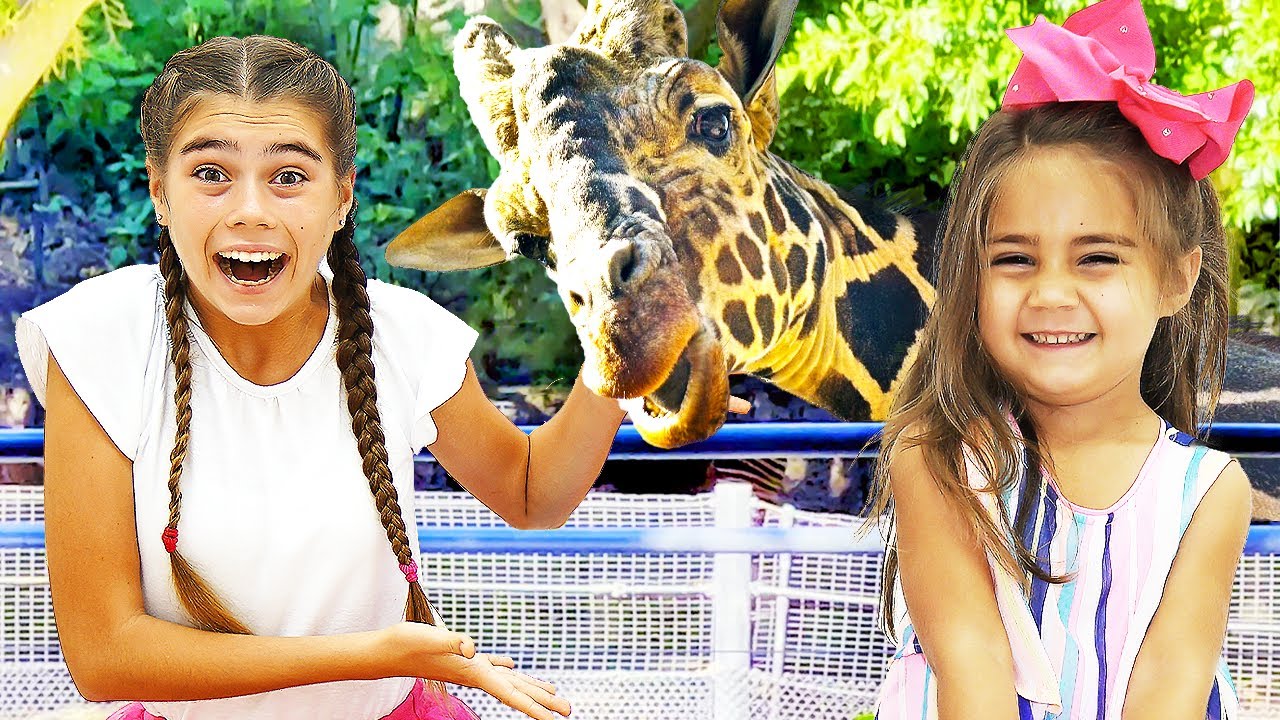 Nastya và những người bạn của cô ấy đến thăm sở thú và cho các con vật ...