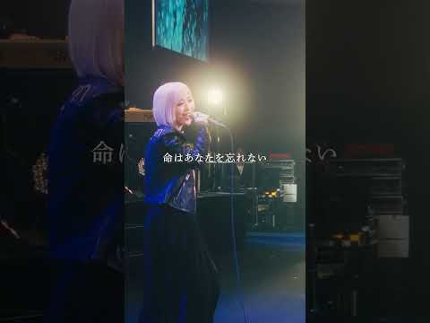 嬉しかったも 悲しかったも 覚えてるよ #ReoNa #VITA #ソードアートオンライン