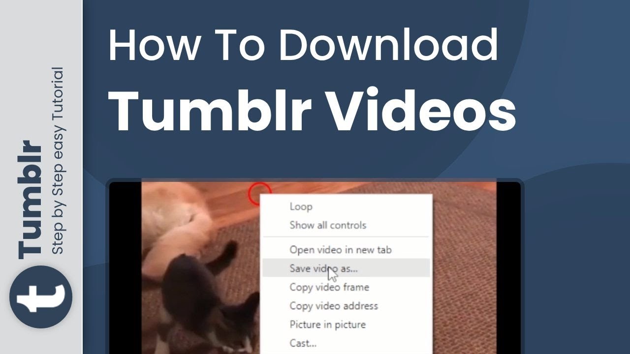 How to download Tumblr videos 2023 (Simple Solution) - YouTube