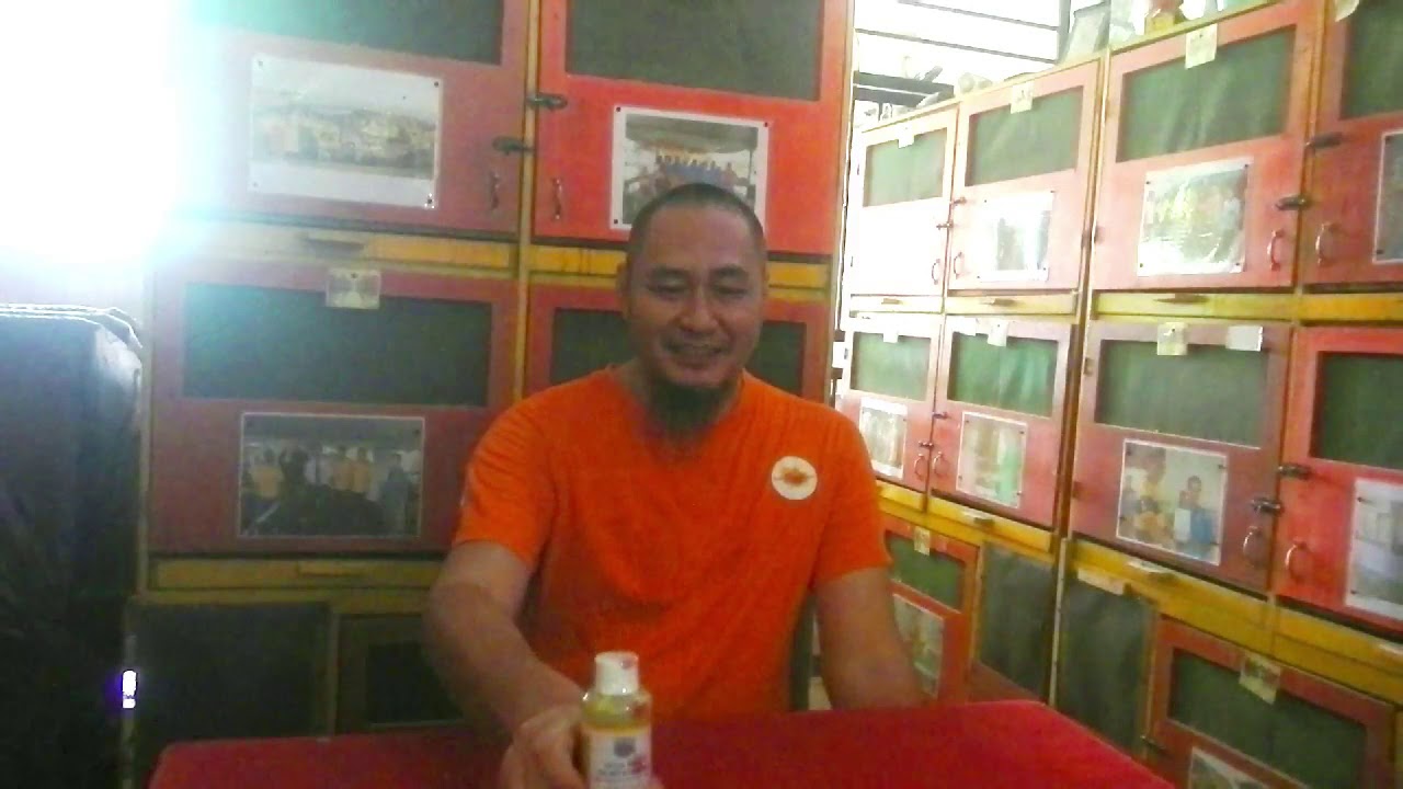 Puru Ayam pada Ayam Serama - YouTube
