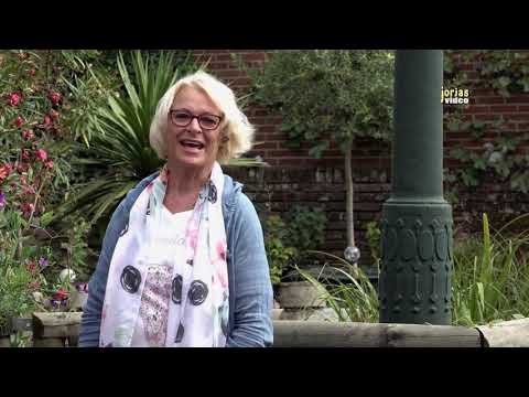 Eiland van mijn dromen nieuw 2018 Maria jaspers - YouTube