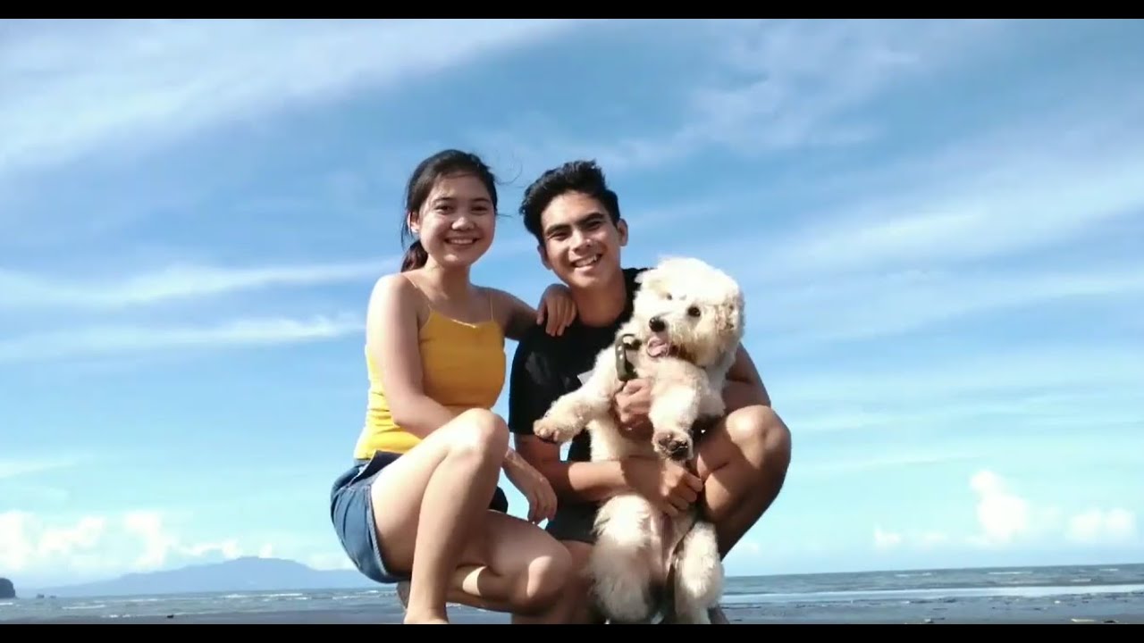 Beach Date 💖🐾🌊 - YouTube