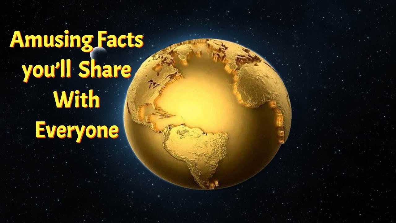 Amusing Facts you’ll want to Share With Everyone | InsightsIndex - YouTube