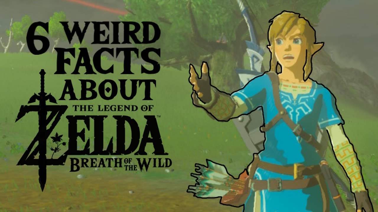 6 Weird Facts About Botw - YouTube