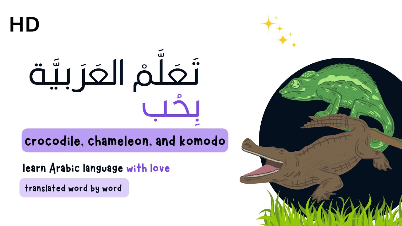 The reptiles | Arabic language analysis - YouTube