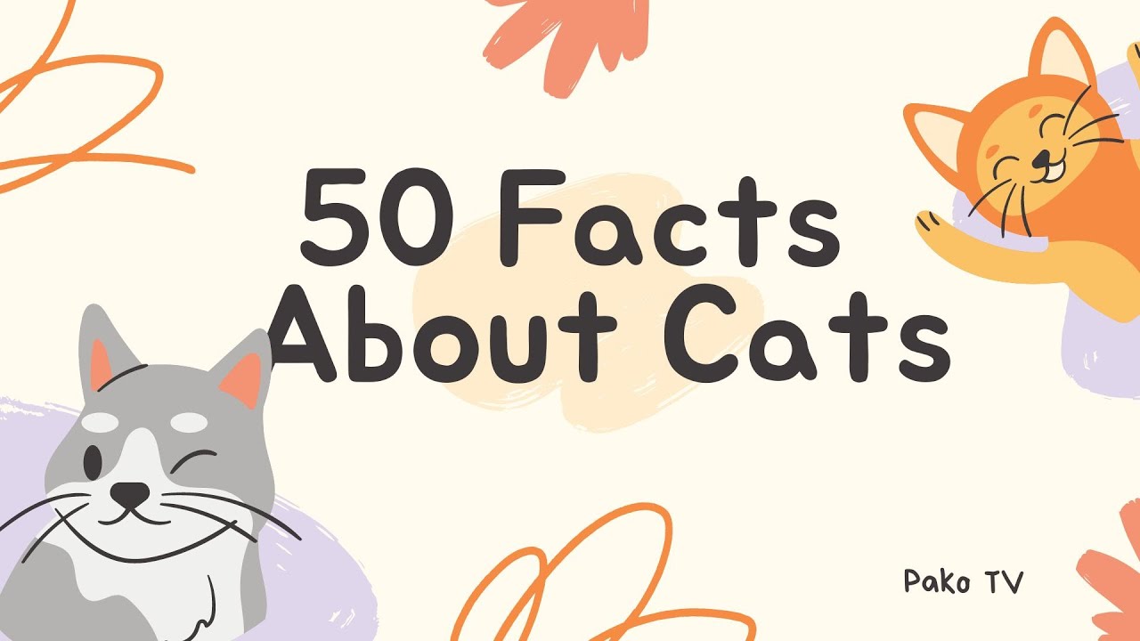 50 Amazing Facts About Cats- interesting information - - YouTube