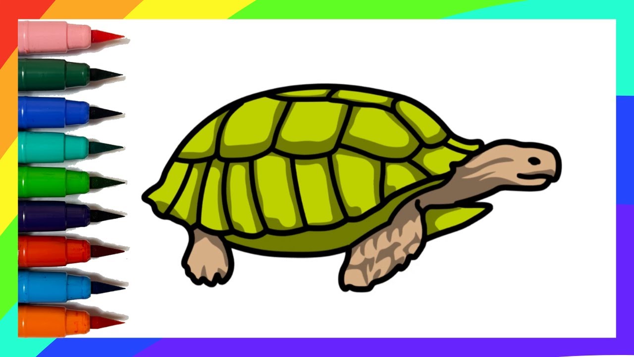 Turtle Drawing and Painting for kids and Toddlers | Turtle drawing # ...