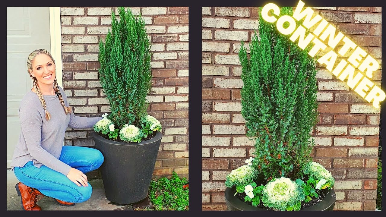 Planting Up Containers That Will Take You Through The Winter | Fall To ...