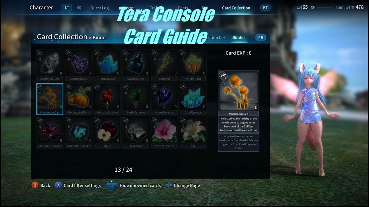 Tera Console: Card Guide - YouTube