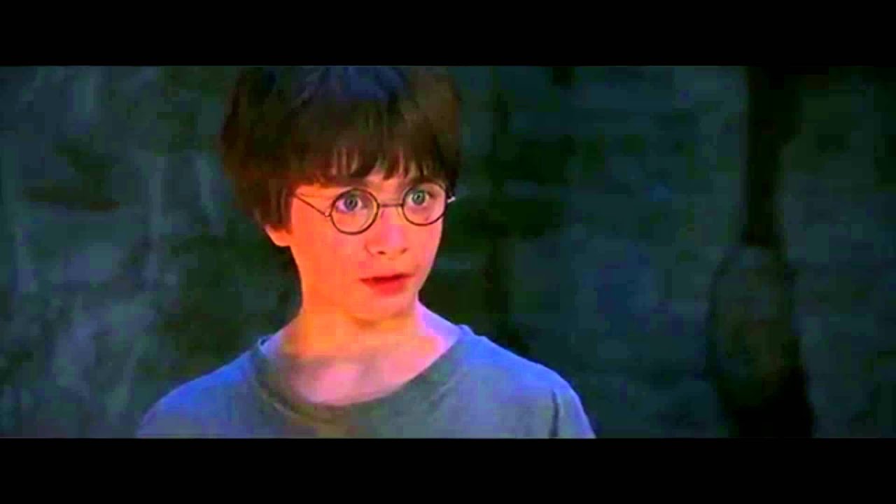 You're a wizard Harry - Ha Gayyyyyy - YouTube