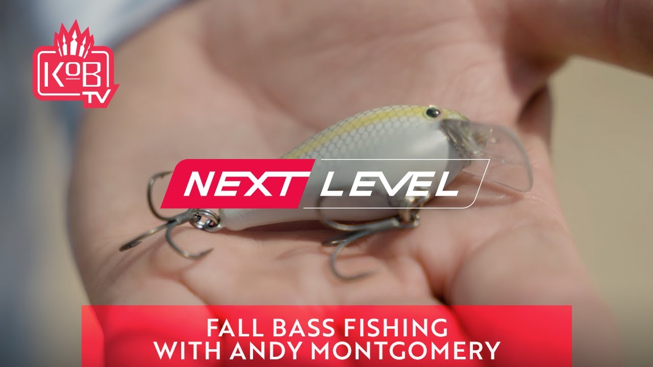 Fall Bass Fishing with Andy Montgomery [NEXT LEVEL] - YouTube