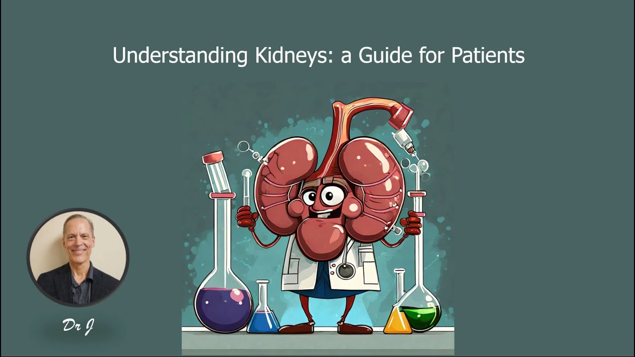 Understanding Kidneys: a Guide for Patients - YouTube