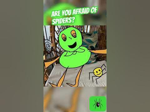 Are you afraid of spiders !! - YouTube