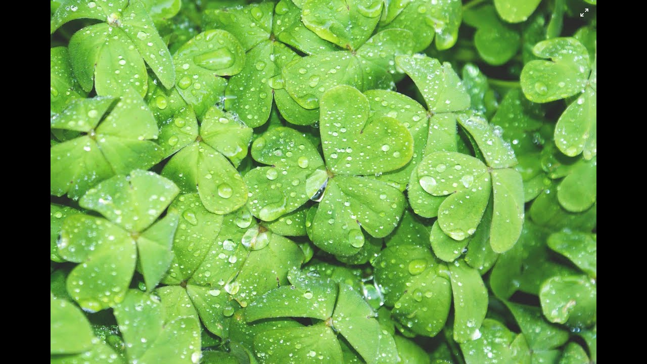 JCK Citizen Broadcaster is LIVE at the Monday Jackson County ...