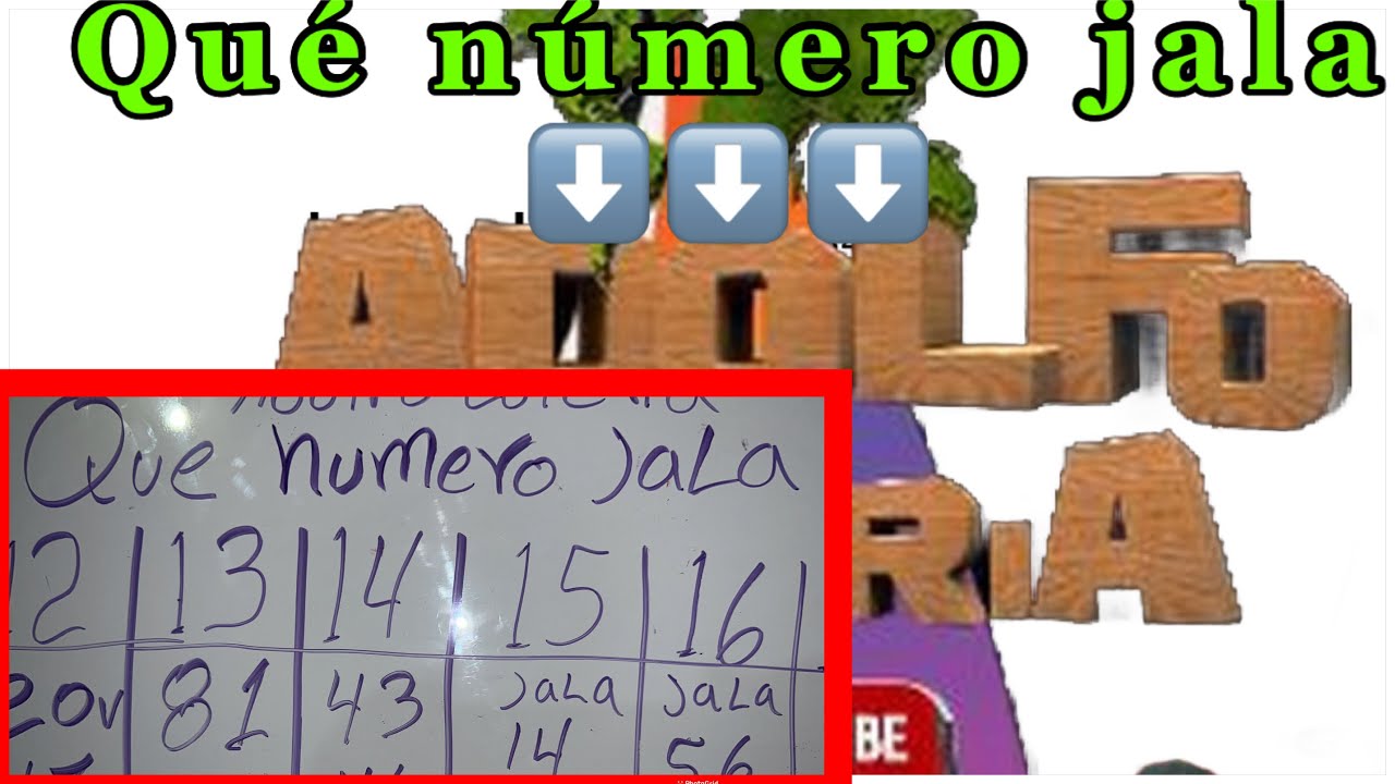 QUE NÚMEROS JALA 11 12 13 14 15 16 y 17🎉 - YouTube