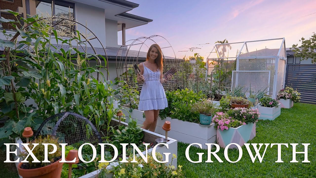 The Garden Is Exploding in Growth! November Planting + Garden Walk ...