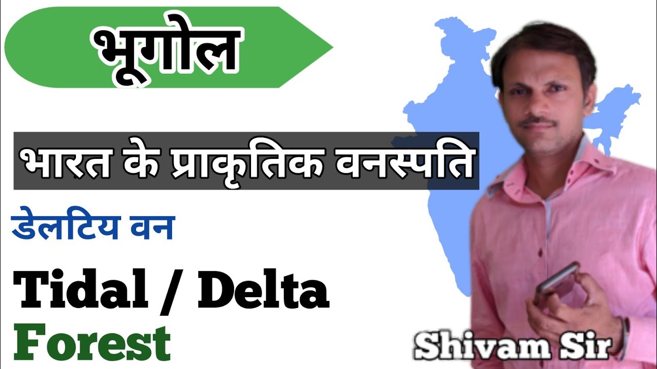 Indian Forest: Delta Forest || वेलांचली वन - YouTube