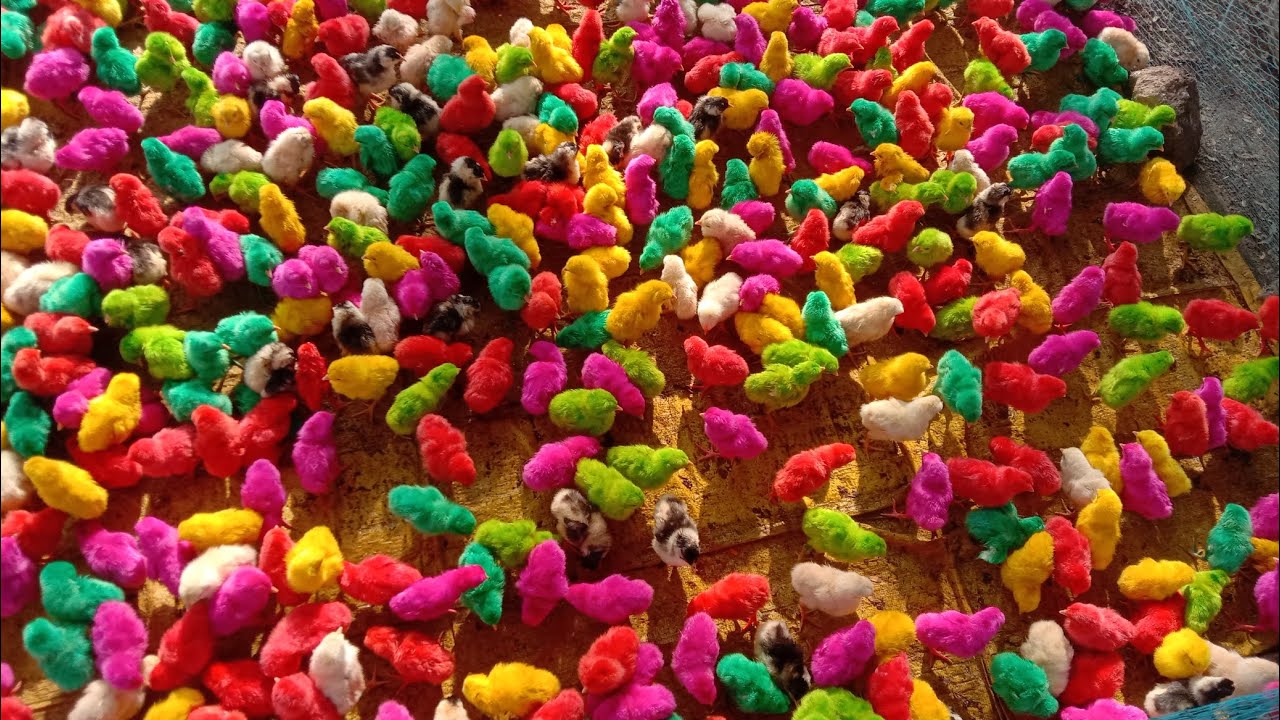 #how tu New #block #video #ki kalaring bassa new #movie kisi ka bhai ...