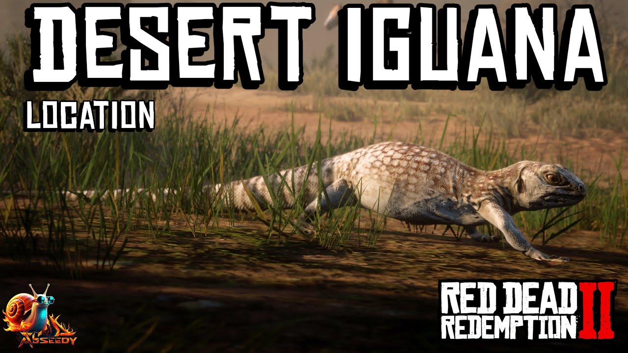 Desert Iguana Location - Red Dead Redemption 2 - YouTube