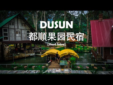 【Wild Wow #32.1】Dusun 都顺果园民宿 | Short Intro 简短介绍 | Kuala Kangsar 江沙 | Perak | 乐捐 | 再循环 Recycle