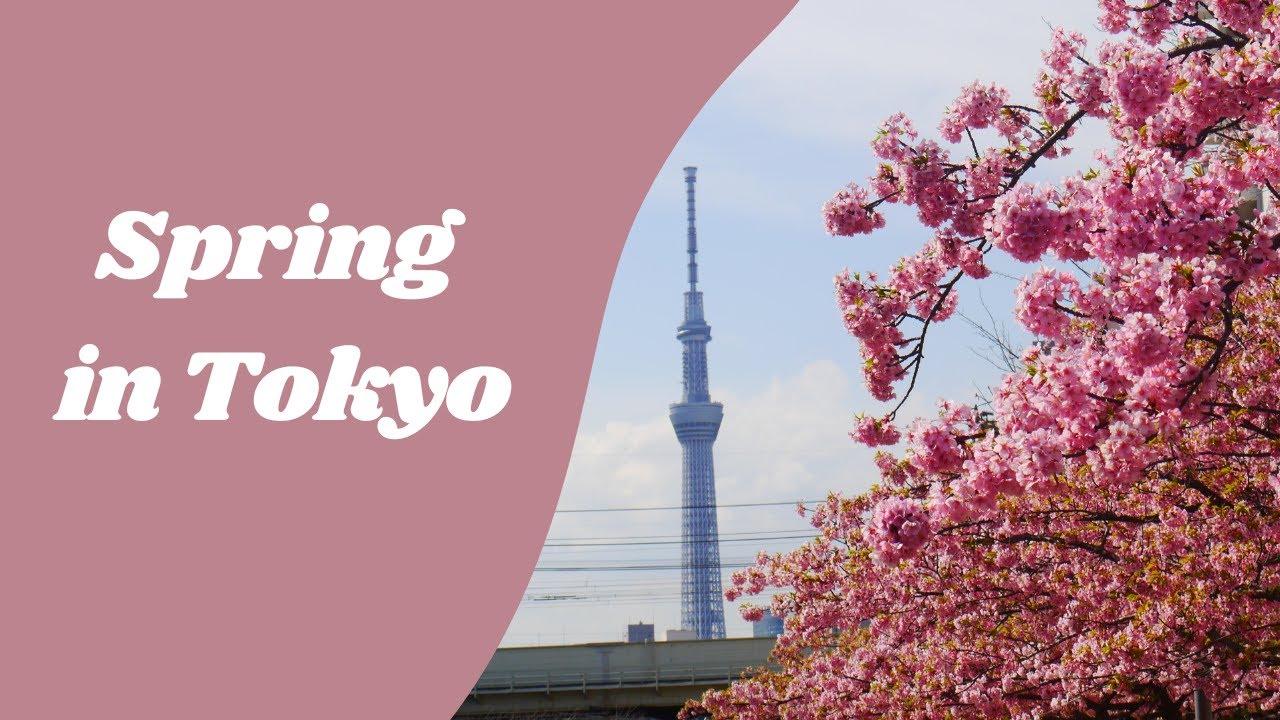 What Tokyo Looks Like During Springtime! - YouTube